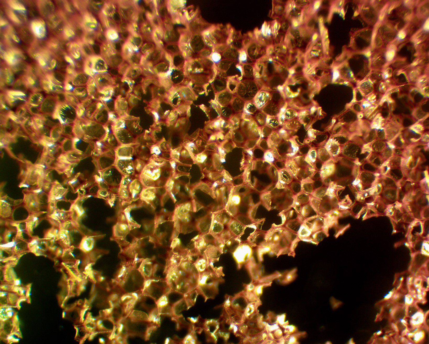 LD-DRY Series - Smithers-Oasis Engineered Products