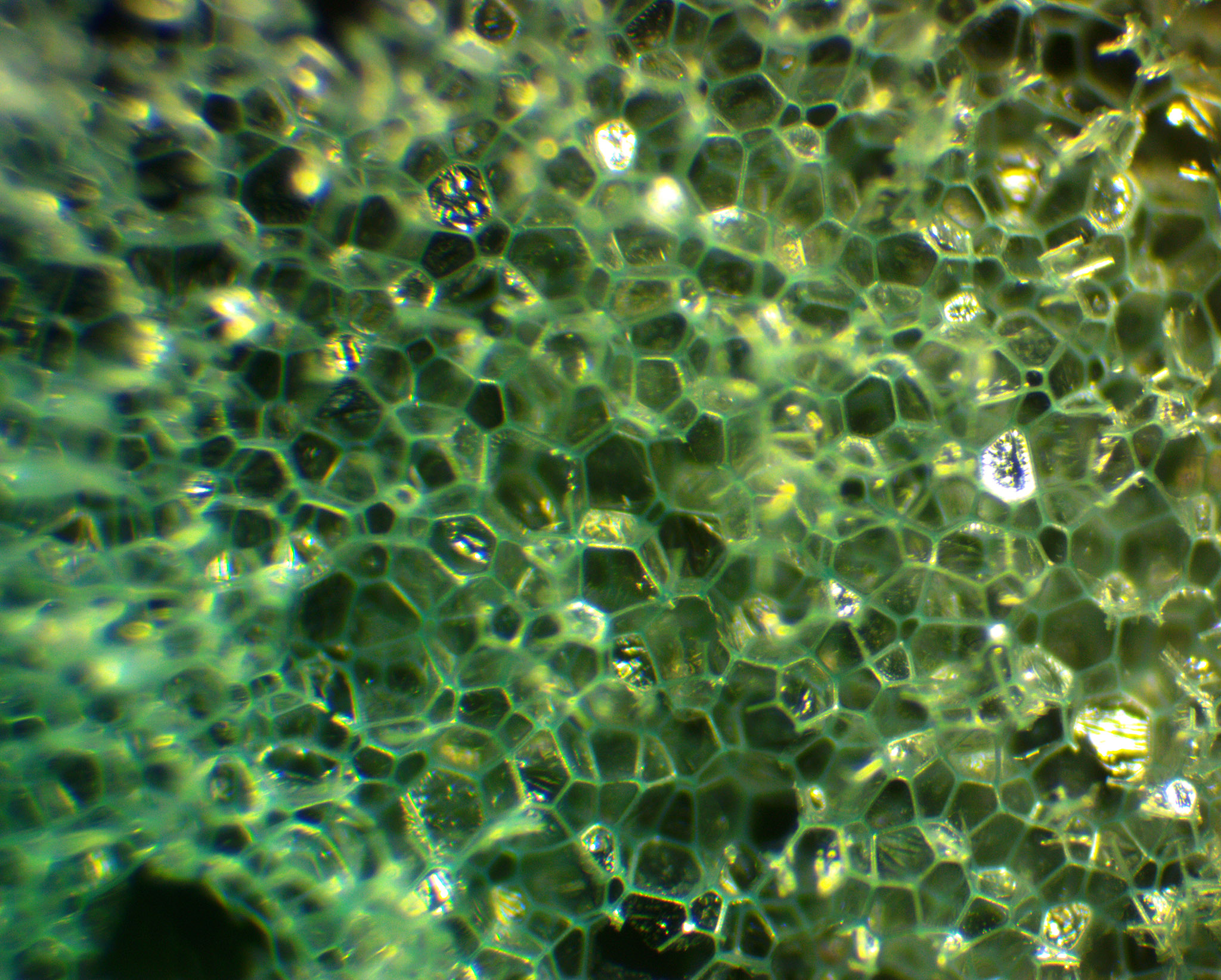 ULD-DRY Series - Smithers-Oasis Engineered Products